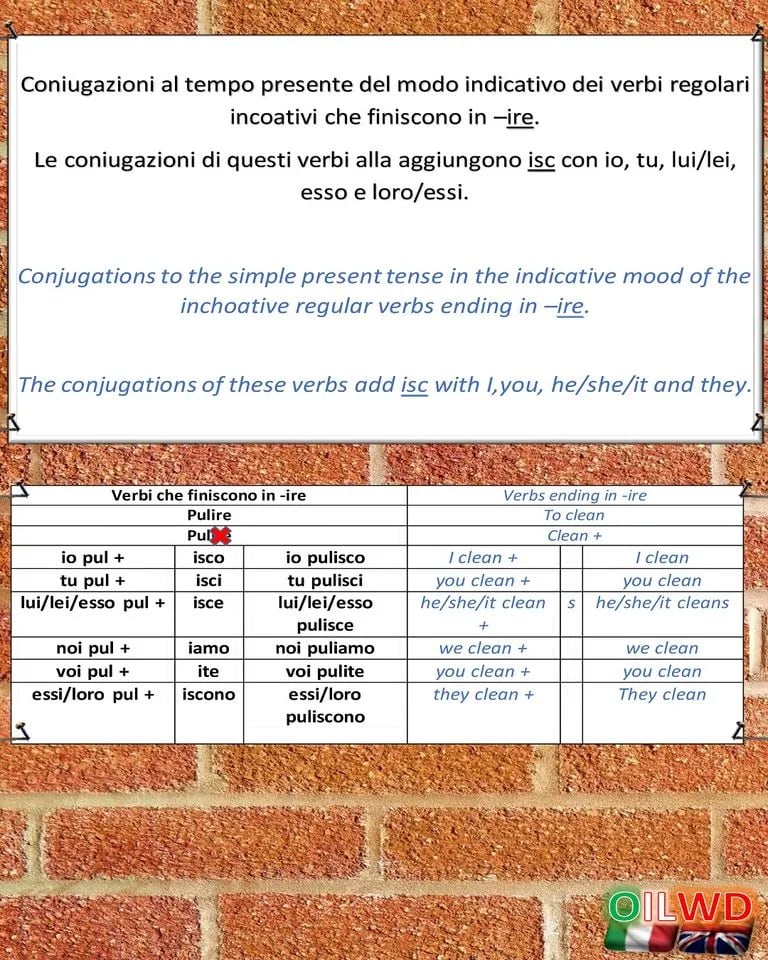 Verbi regolari incoativi che finiscono in -IRE coniugati in ISC ...