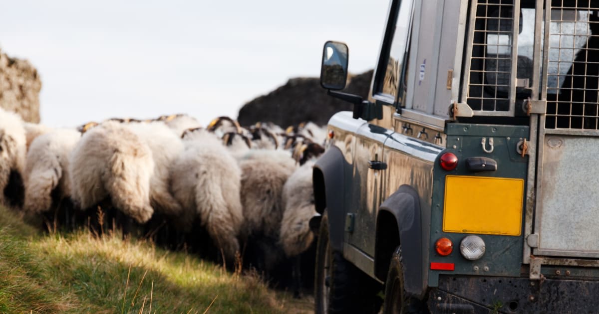 Online platform for farmers to sell direct to local customers. | The ...