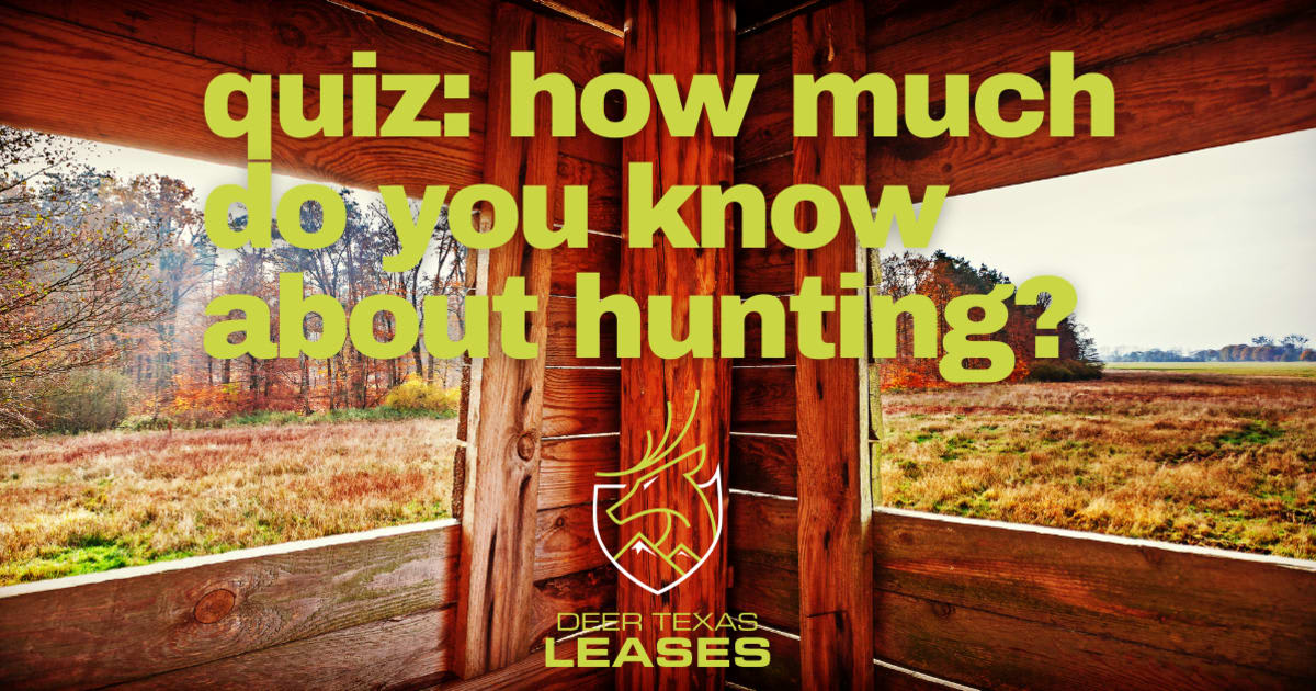How much do you know about hunting?