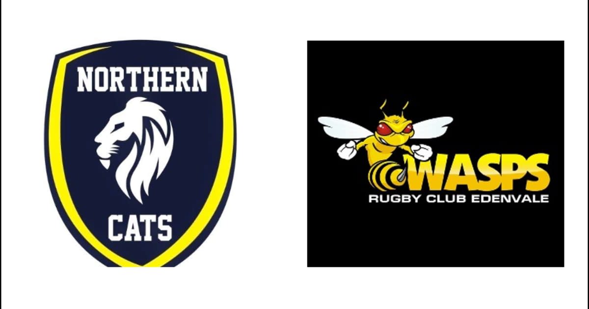 Round 7: Northern Cats vs Wasps