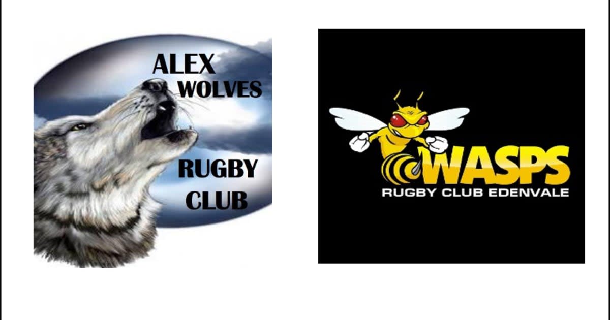 Round 8: Alex Wolves vs Wasps