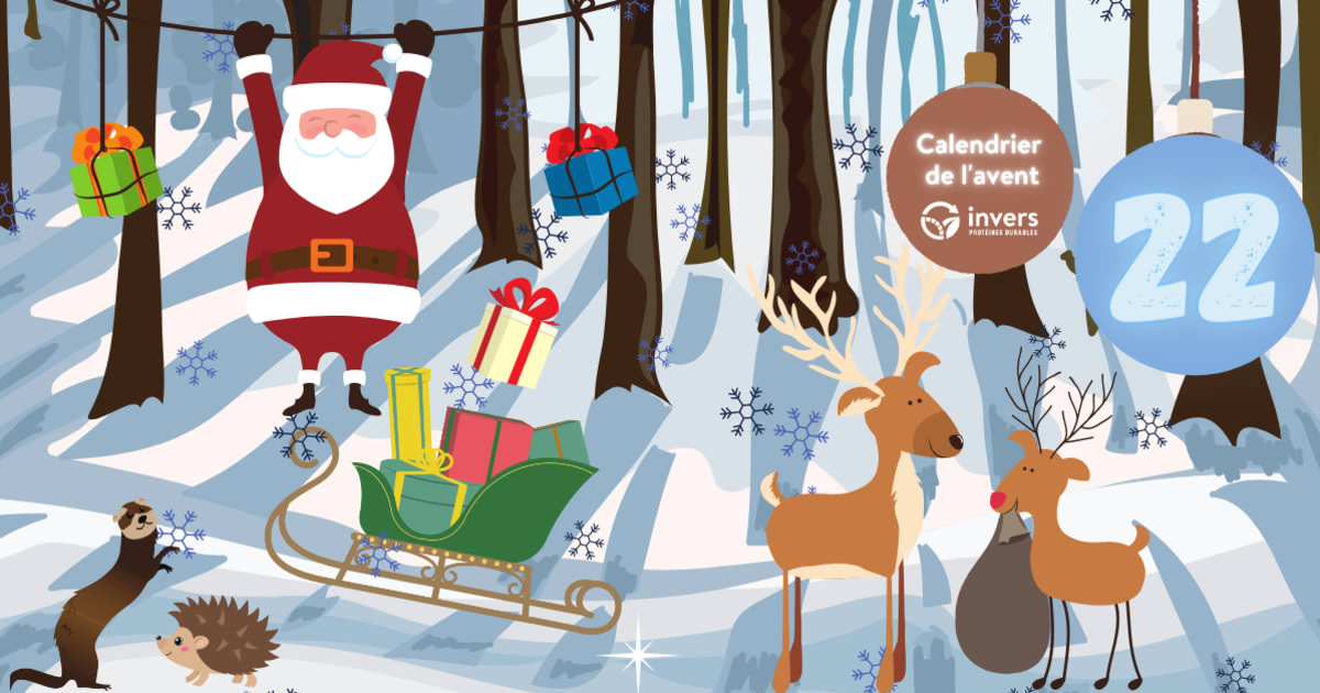 Quiz du Calendrier de l'Avent Invers - Case n°22 🎄