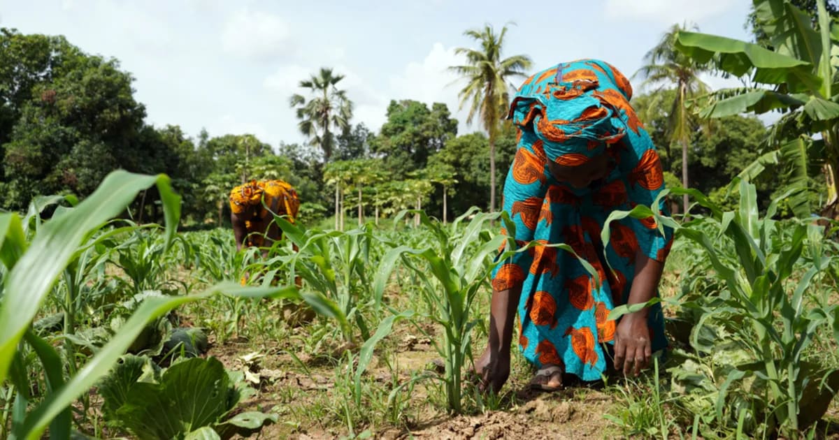 Would you spend 10 minutes to help farmers