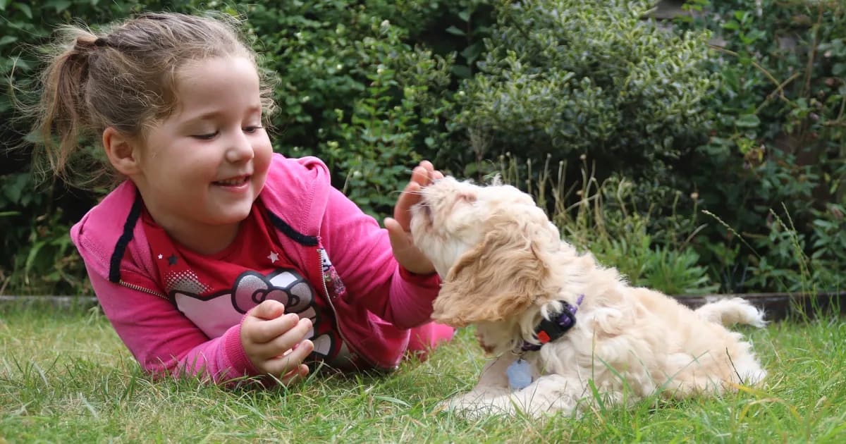 ‘Play More ... Worry Less’ Contest #3 with LymeDefenses, Inc.