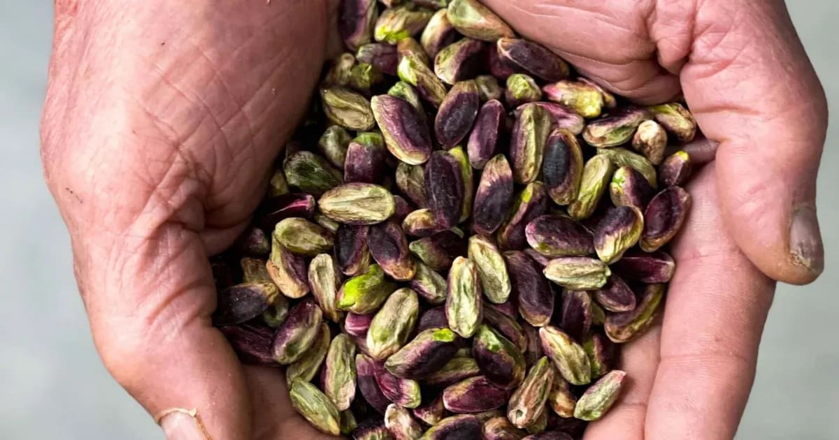 Quanto ne sai di Pistacchio? Quanto ne sai di Pistacchio?
