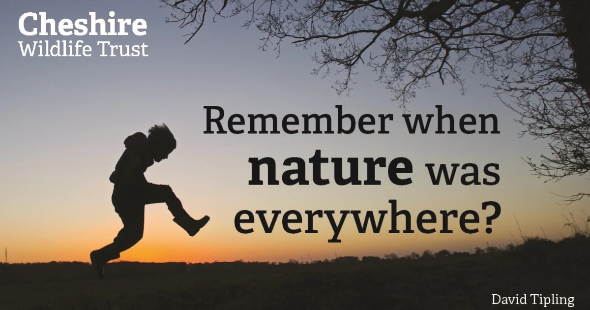 Nature as you remember it
