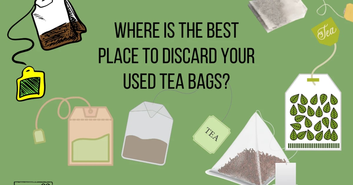 Where is the best place to discard your used tea bag?