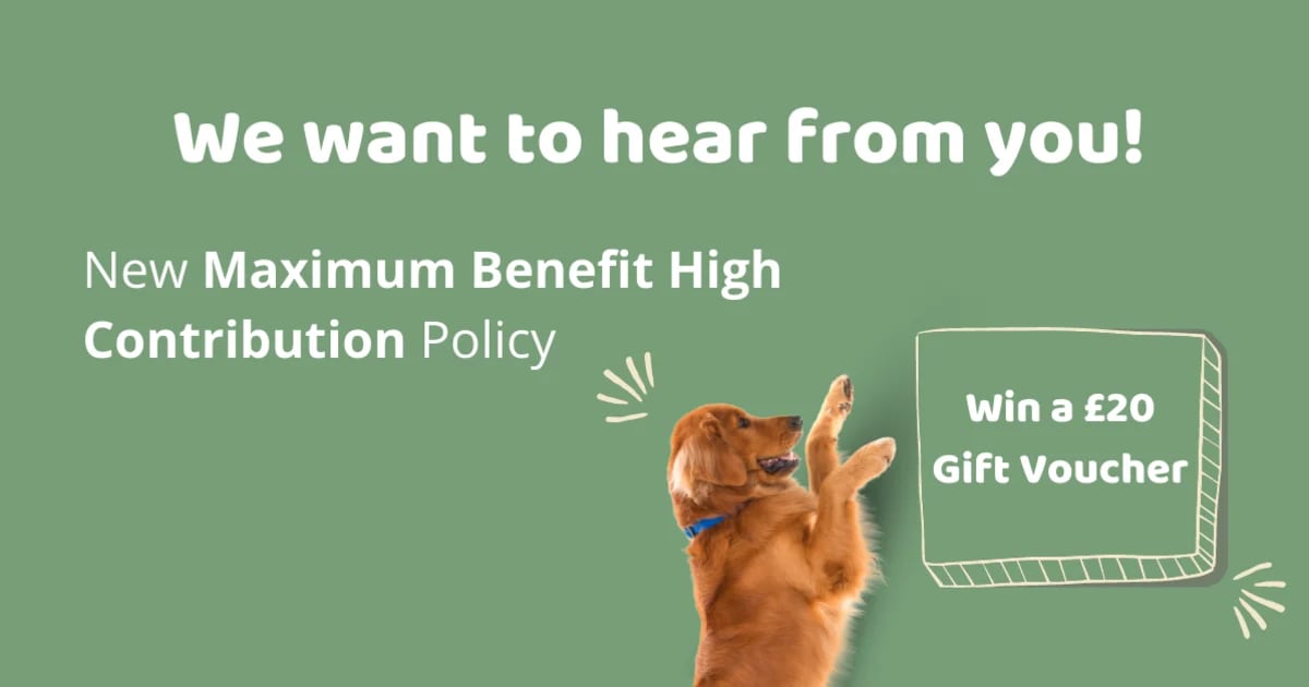 New - Maximum Benefit High Contribution Policy