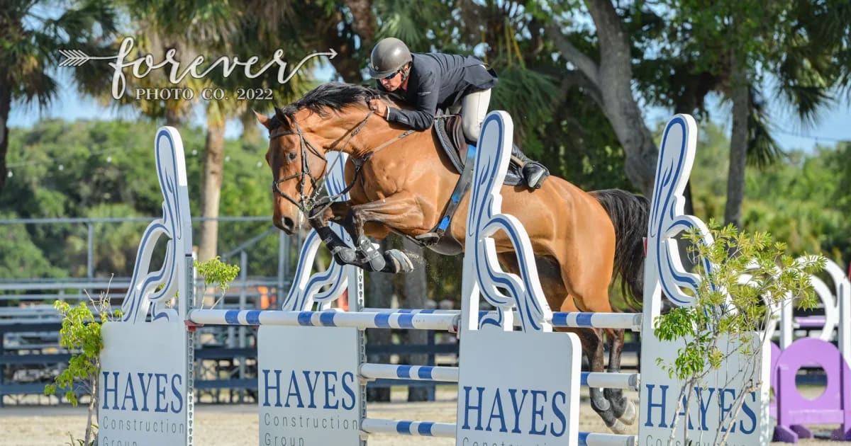 Where did you stay during the Winter QH & Fun In The Sun Show?