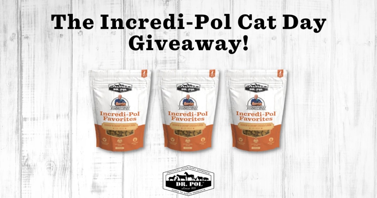 The Incredi-Pol Cat Day Giveaway