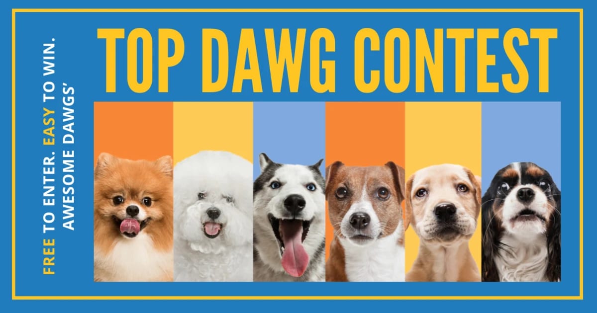 TOP DAWG