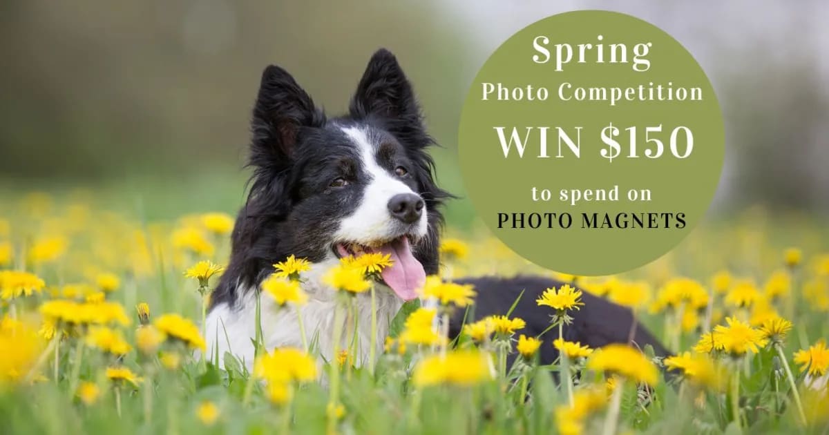 Spring Photo Competition