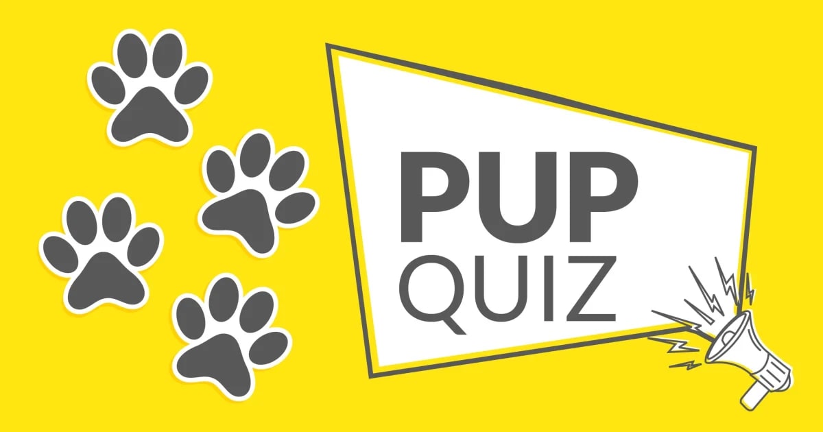 Pup Quiz