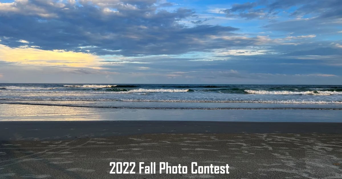 2022 Fall Photo Contest