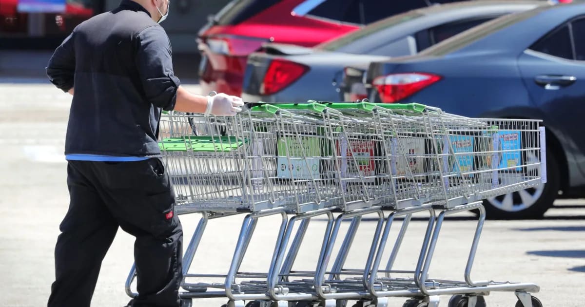Shopping Carts at Publix