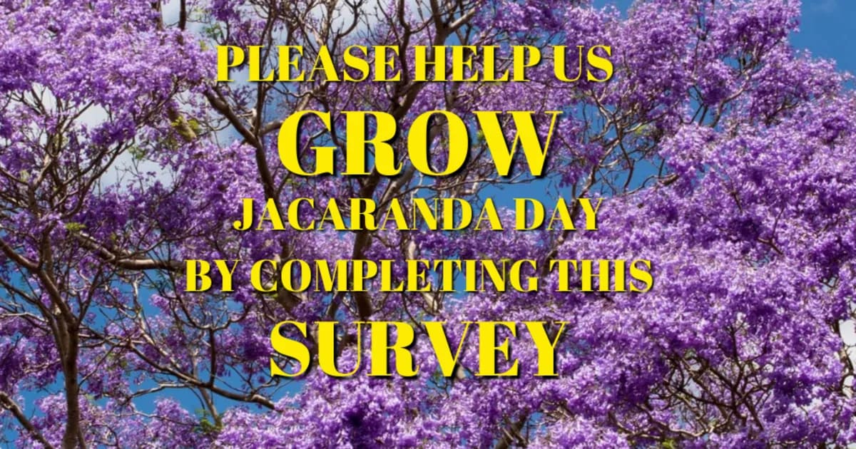Jacaranda Day Festival