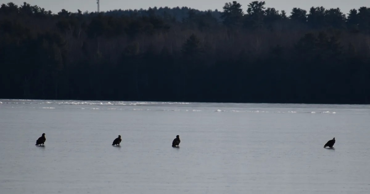 2023 Annabessacook Lake Ice-Out Contest!