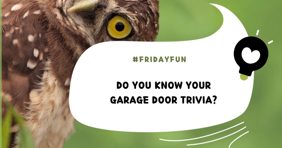 Garage Door Trivia