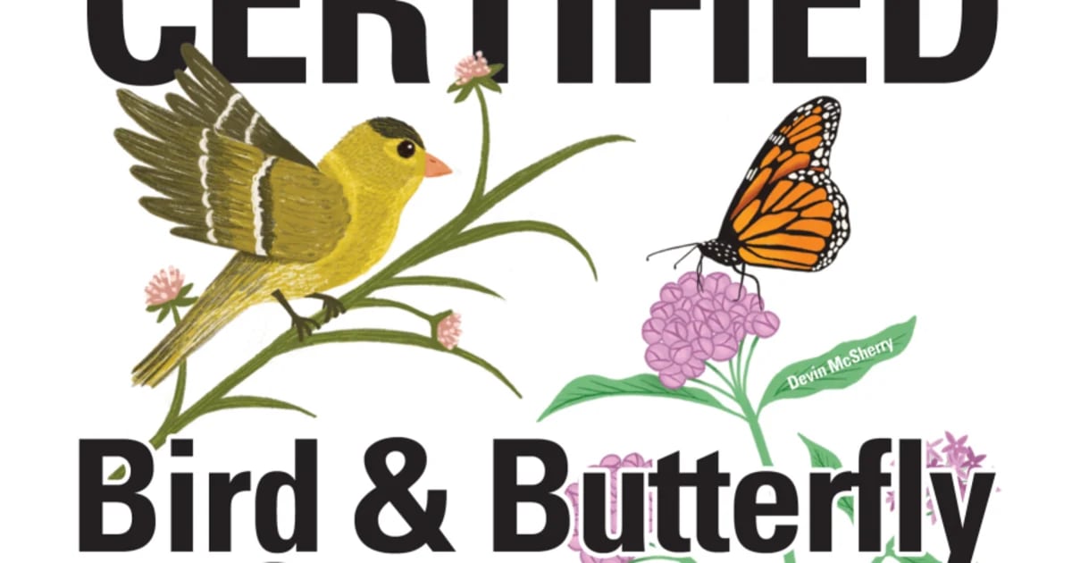 What Makes A Garden More Bird and Butterfly Friendly?