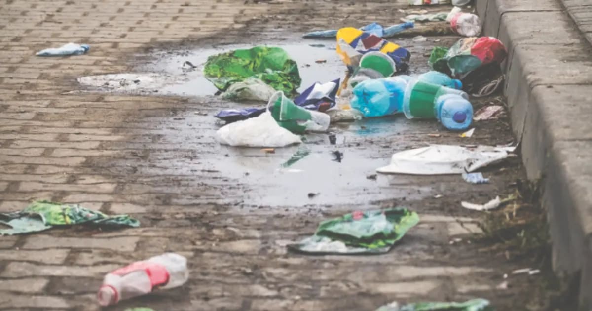 South River Anti-Litter Campaign Slogan Poll