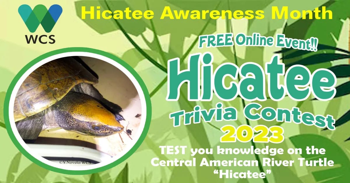 WCS Belize "Hicatee" Awareness Month Trivia Challenge