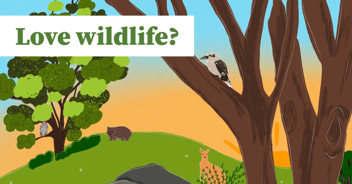 Love Wildlife? Quiz