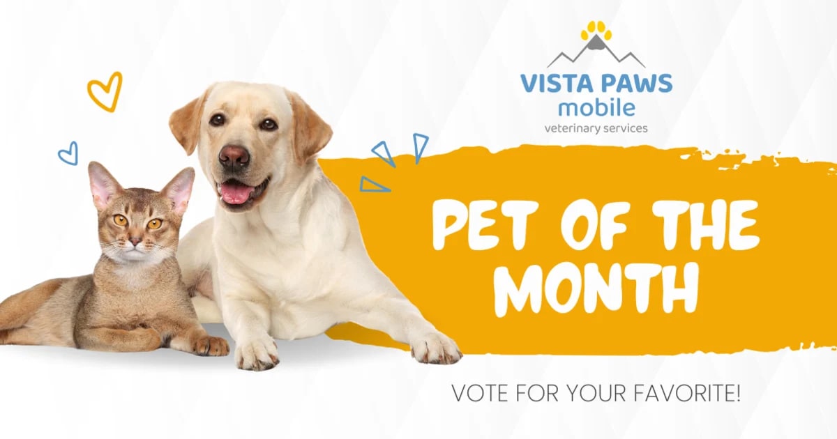 Vista Paws Pet of the Month!