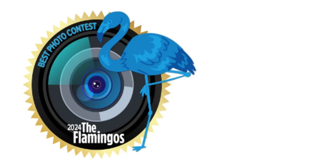 The Flamingos BEST of 2024 - Photo Contest - Charlotte County