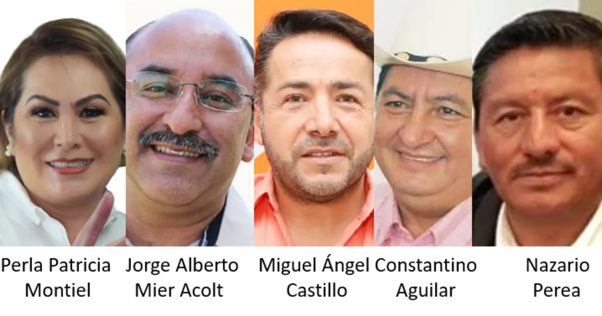 Elección Diputados Federales del Estado de Veracruz Distrito 8 Emiliano ...