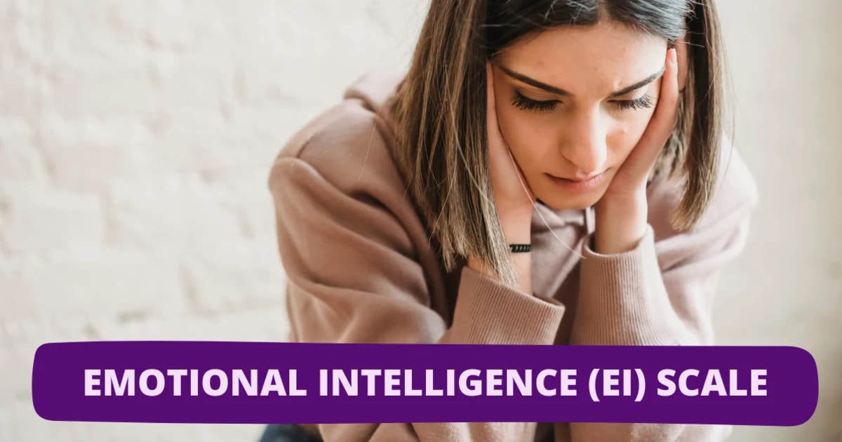 Emotional Intelligence (EI) Scale