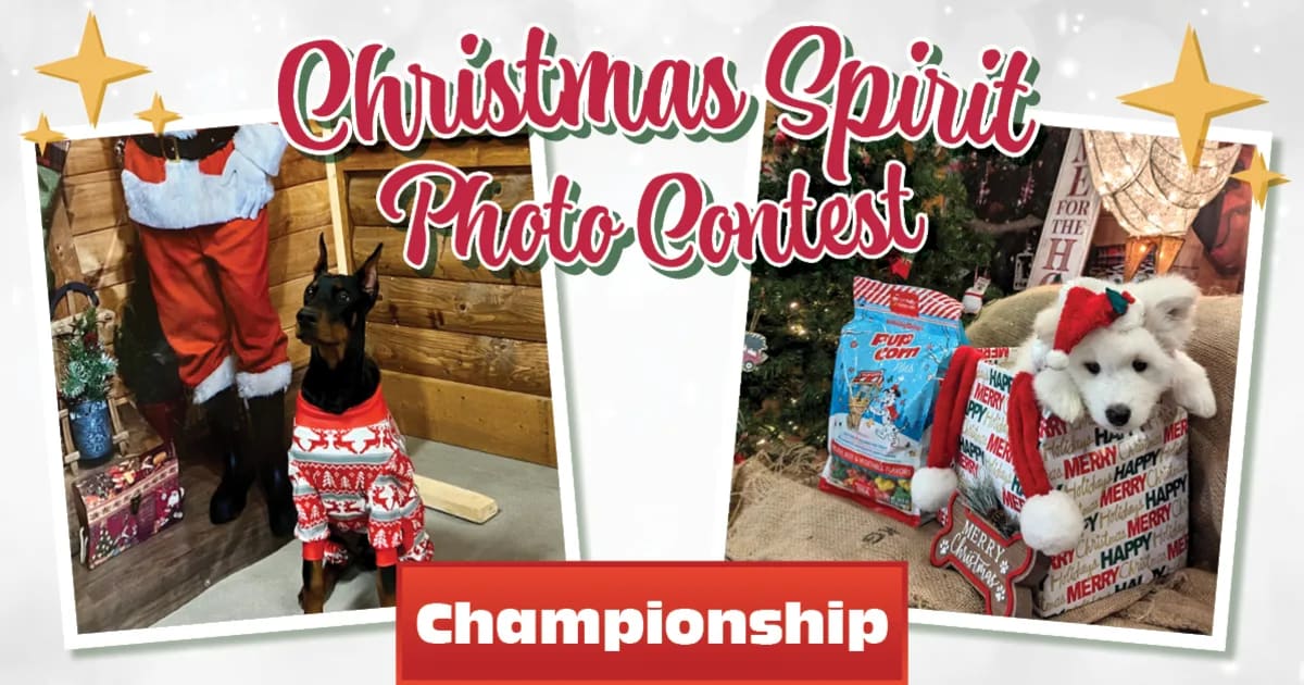 CountryMax Christmas Spirit Pet Photo Contest 2024 - Final Four ...