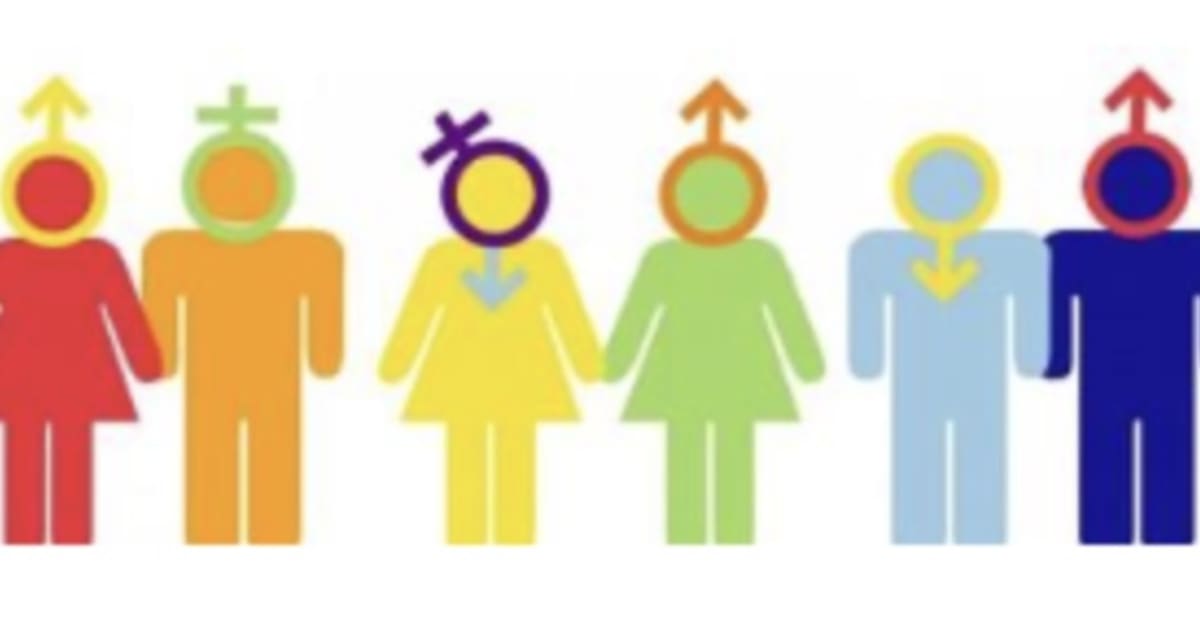 O que é a Diversidade Sexual e de Género (DSG)?