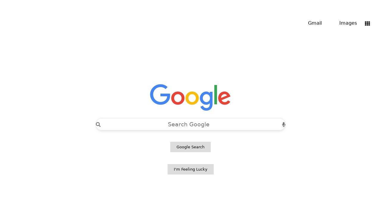 Google Home Page