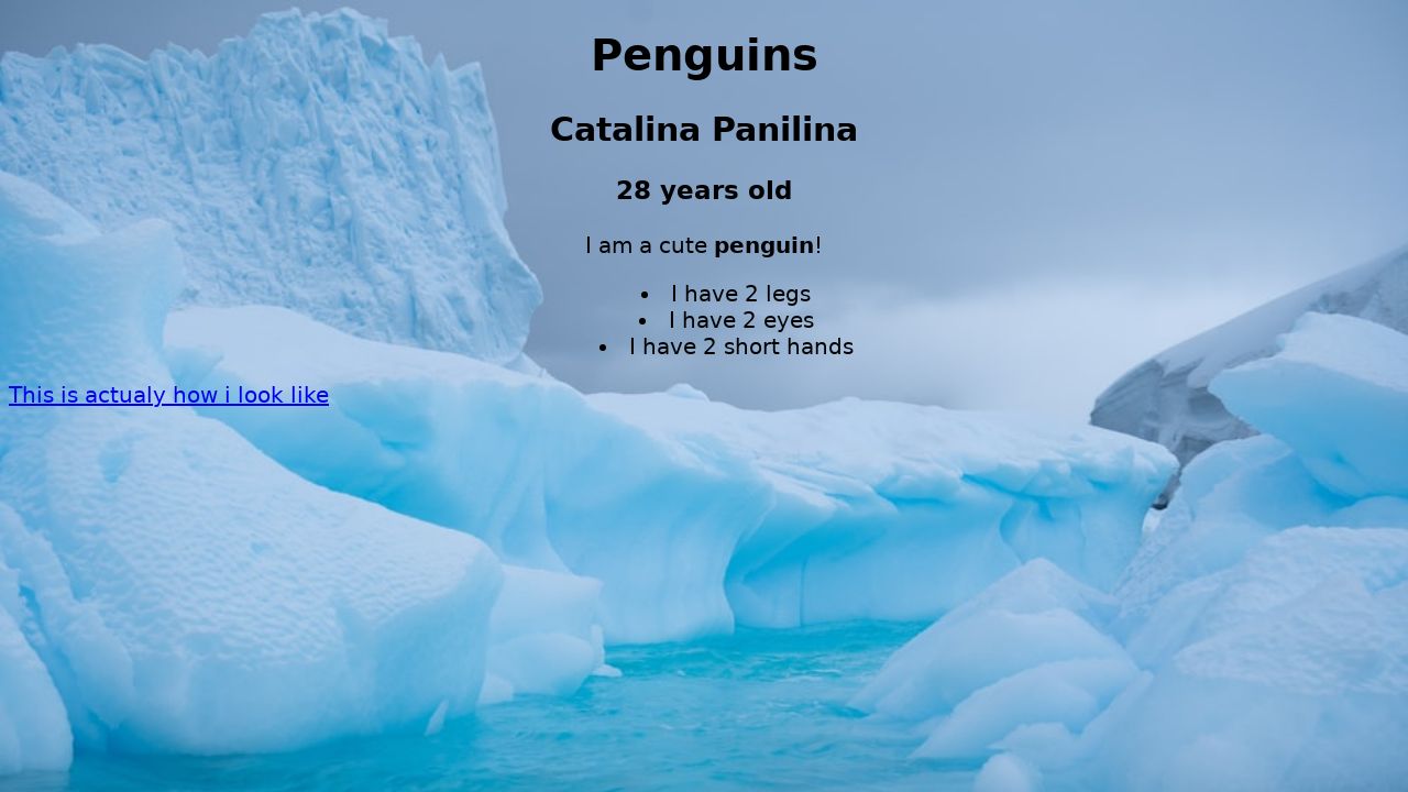 Penguins HTML Fundamentals