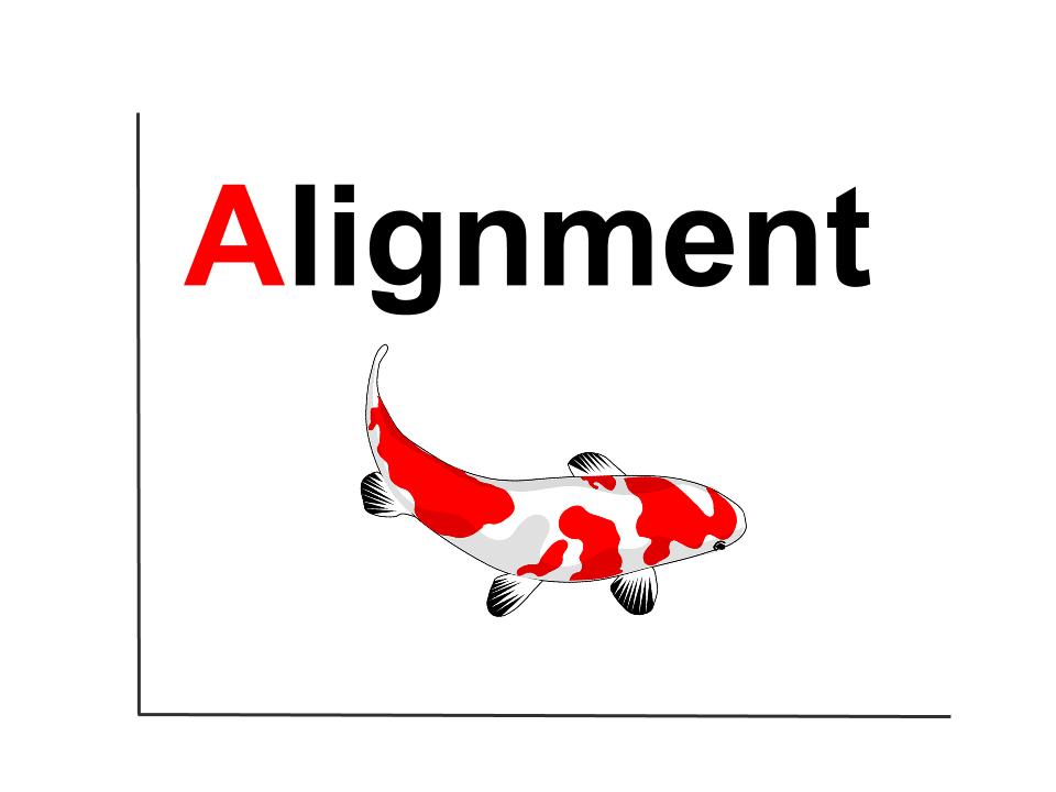 CARP Jr: Design Principles REDEFINED (FINAL COETAIL PROJECT) | COETAIL