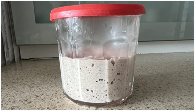 202501パン（動画）自然酵母サワー種の作り方 - | コエテコカレッジ byGMO - eラーニング・オンライン講座を販売・学ぶ