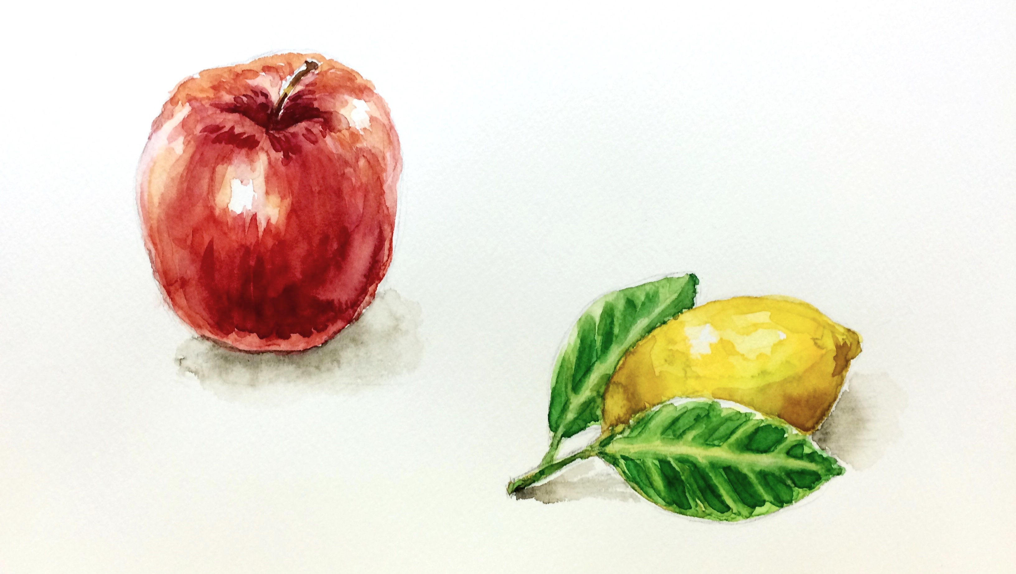 ★初心者体験デッサンor水彩レッスン - | コエテコカレッジ byGMO - eラーニング・オンライン講座を販売・学ぶ