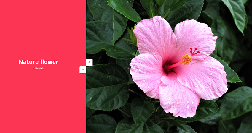 GitHub - coffmanjrp/react-double-vertical-slider