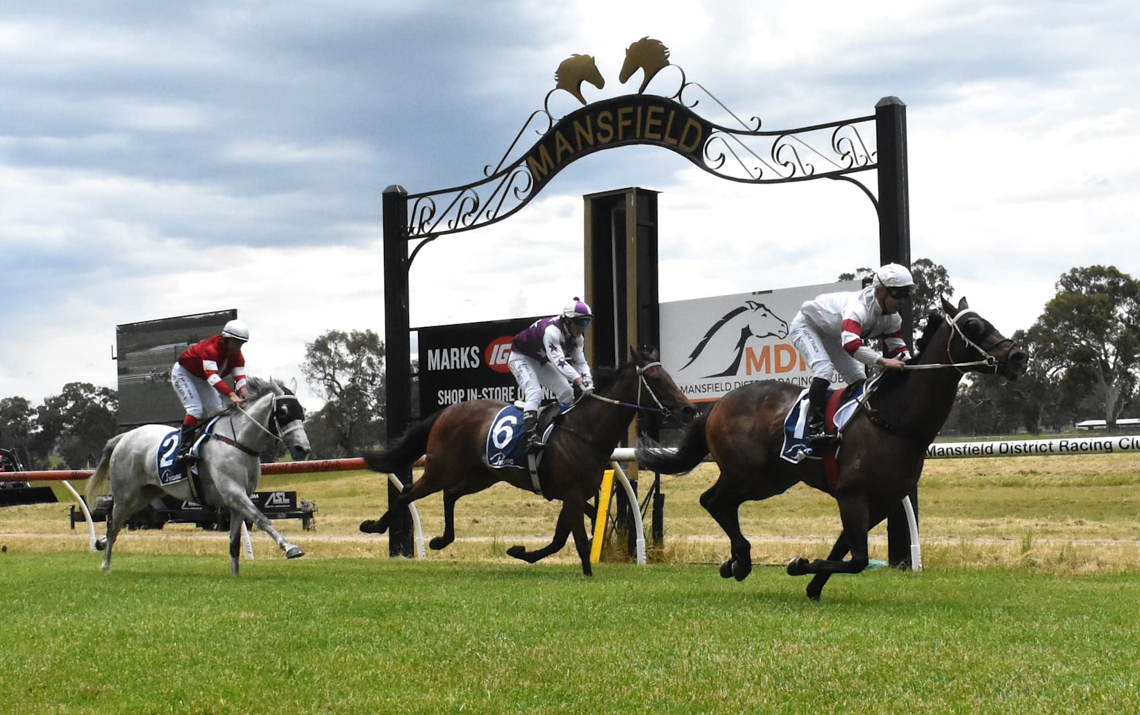 Family Fun at the Mansfield Picnic Races