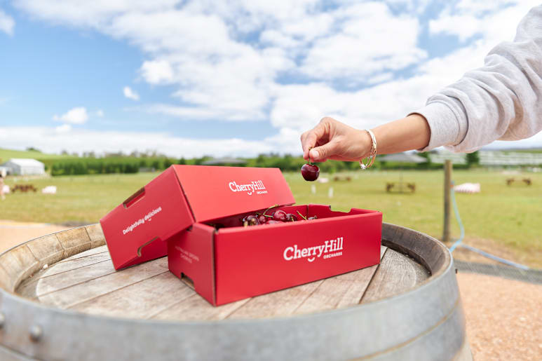 Growing together like a double cherry