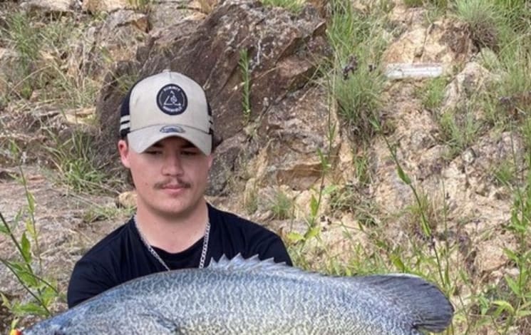 The life cycle of Murray Cod in Lake Eildon