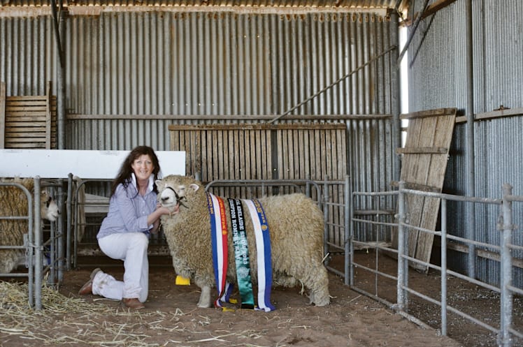 Woolly good Show results for Romney breeder