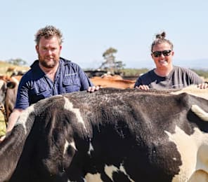 Dawn bay raid causes controversy