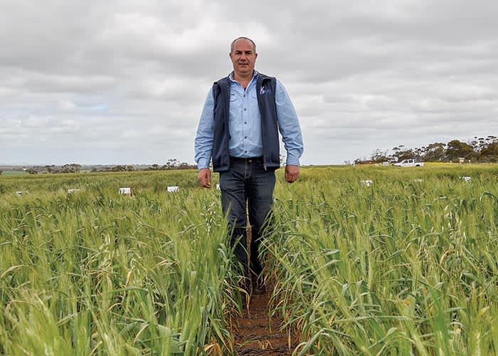 Getting The Crop In back for 2023