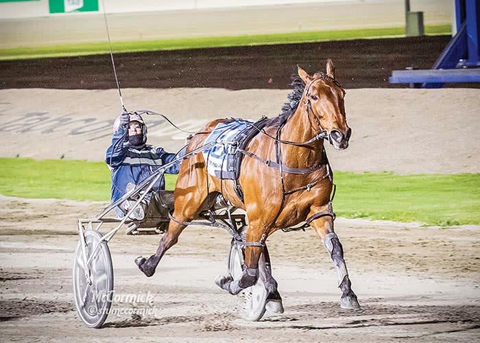 Encipher is Australia’s best