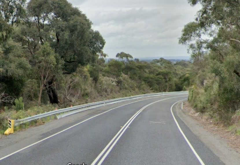 Snake bites snake? You be the judge