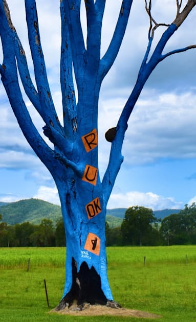 Blue tree mental health conversation starters