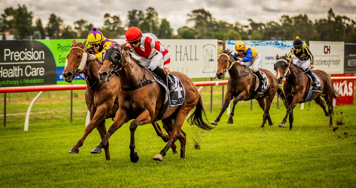 Racing feast over the holiday period