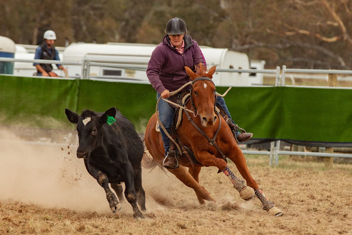 Campdraft success for first event at Merton