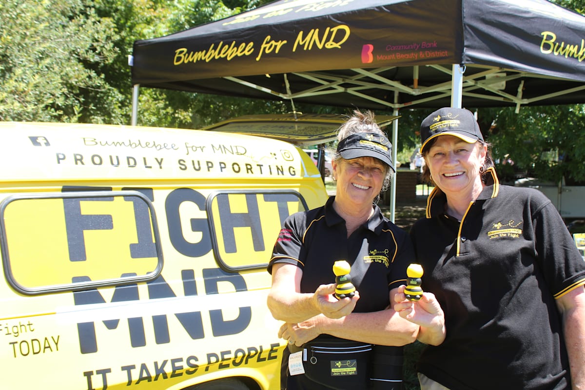 Fighting MND with Bumblebee